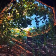 ΕΝΑ ΒΙΒΛΙΟ ΤΡΟΜΟΥ ΜΟΙΡΑΣΤΗΚΕ ΣΤΑ ΠΑΙΔΙΑ ΤΟΥ ΝΗΠΙΑΓΩΓΕΙΟΥ - ΝΙΚΟΛΑΟΣ ...